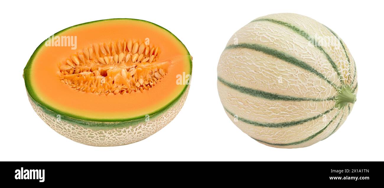 Cantaloupe melon half isolated on white background with full depth of ...