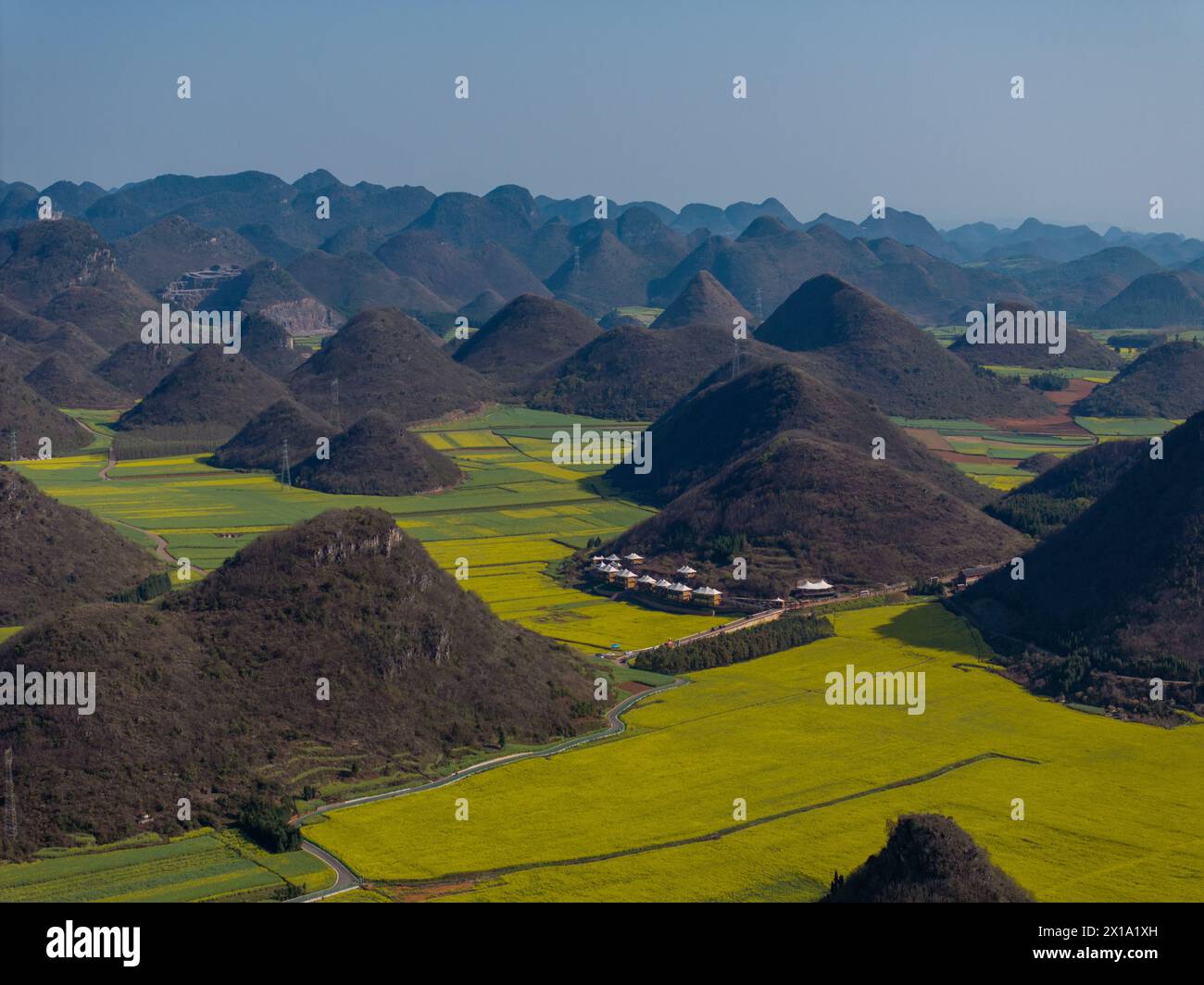 Canola field in Luoping county, Yunnan, China Stock Photo - Alamy