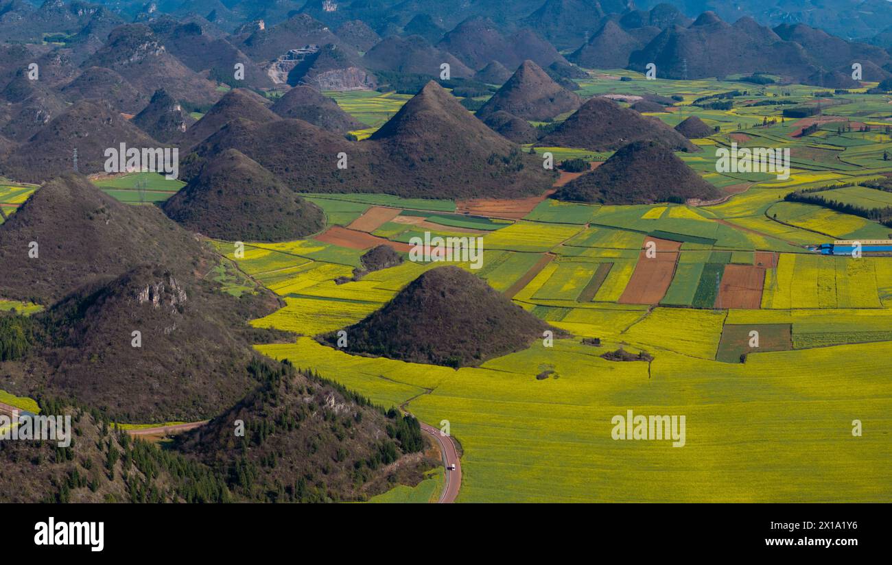 Canola field in Luoping county, Yunnan, China Stock Photo - Alamy