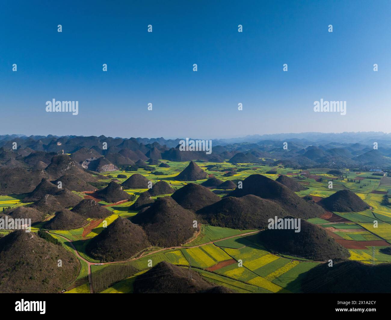 Canola field in Luoping county, Yunnan, China Stock Photo - Alamy