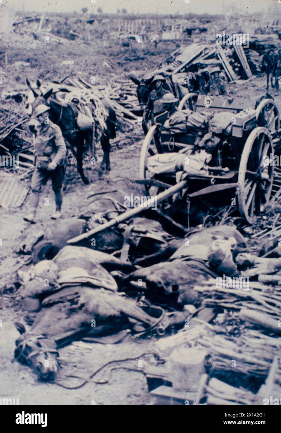 The Flanders battlefield during the 1917 campain, WW1 Belgium Stock ...