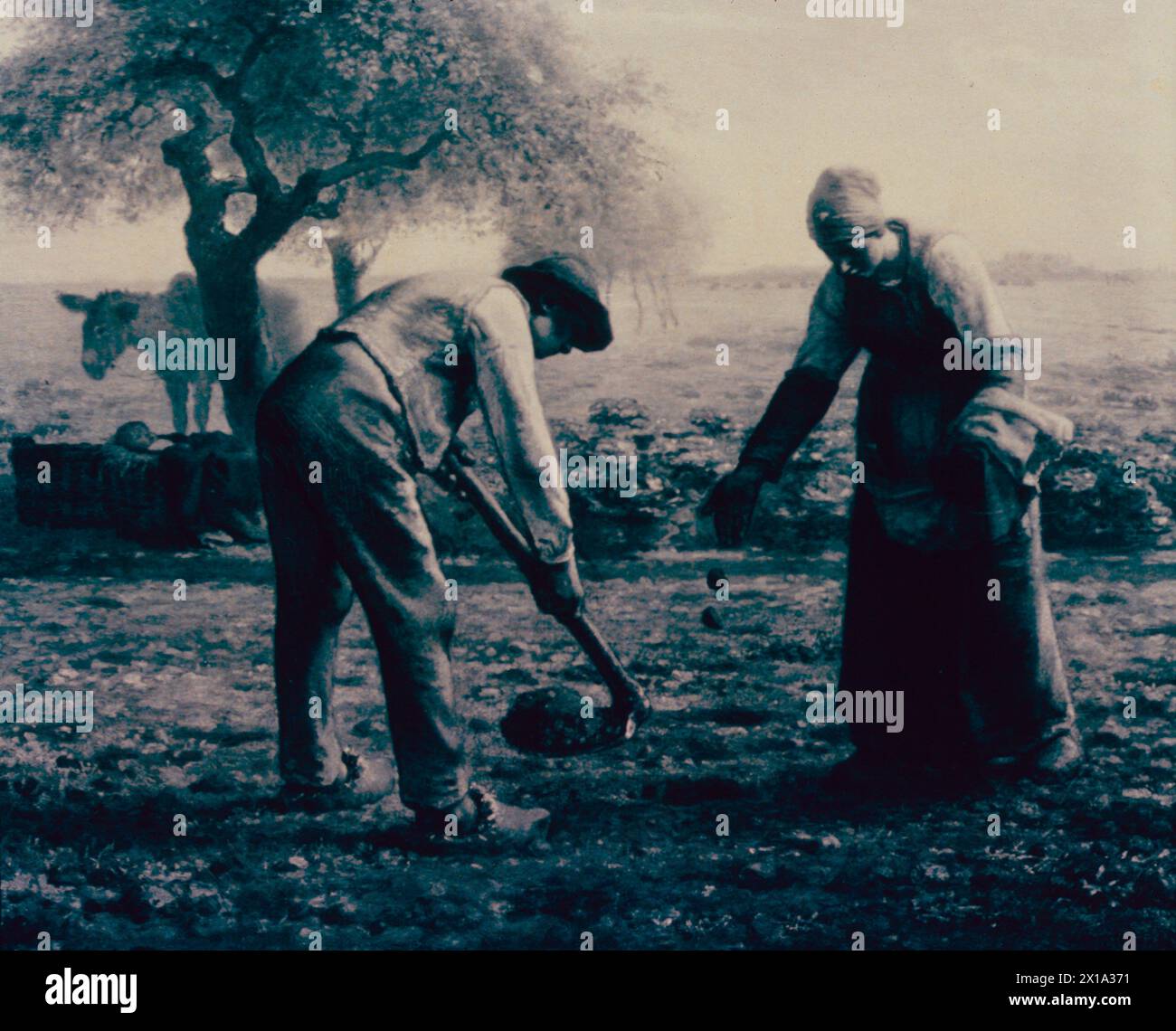 Planting Potatoes, painting by French artist Jean-Francois Millet, 1861 ...