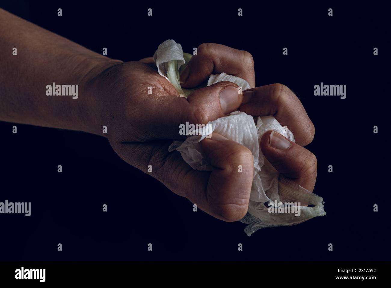 hand crumpling white fragile flower, metaphor of violence abuse ...