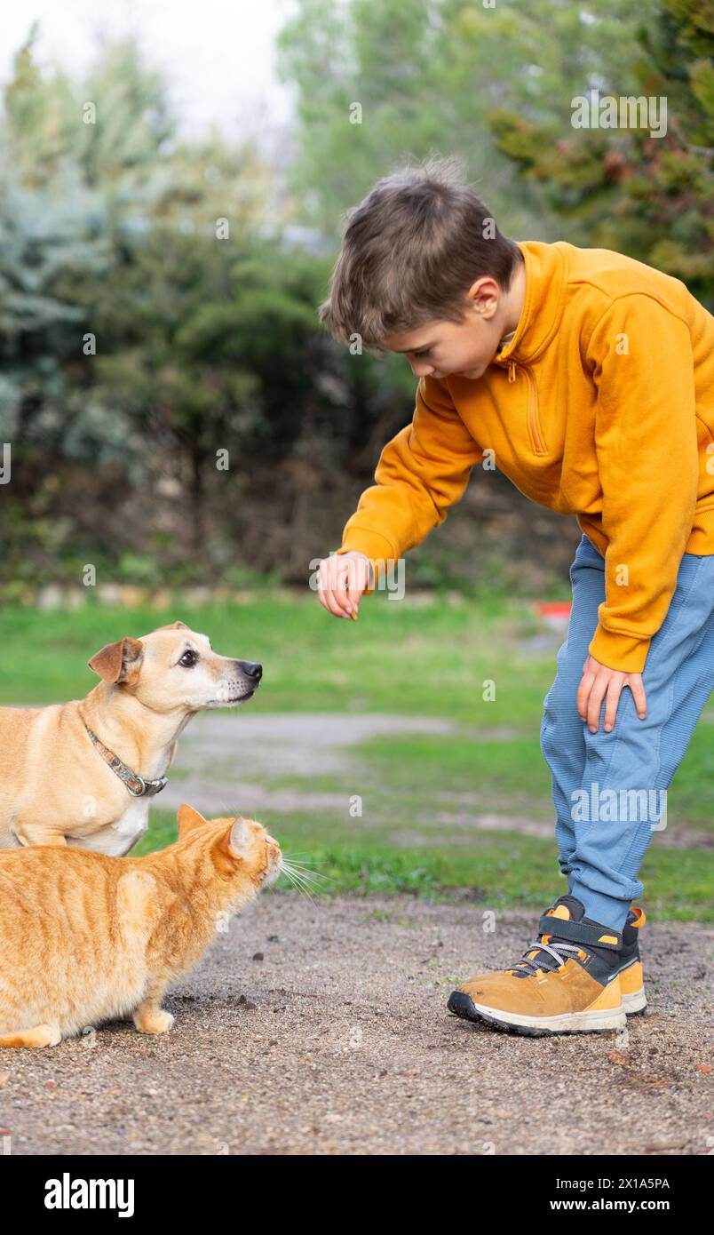 Boy giving a treat to his dog and cat Stock Photo - Alamy