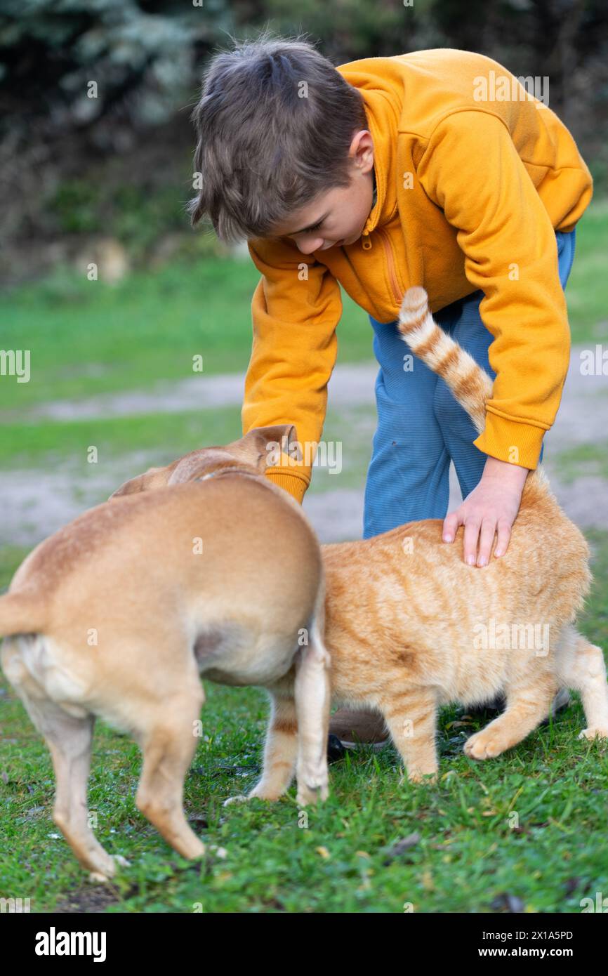 Boy petting his dog and cat outdoors Stock Photo - Alamy