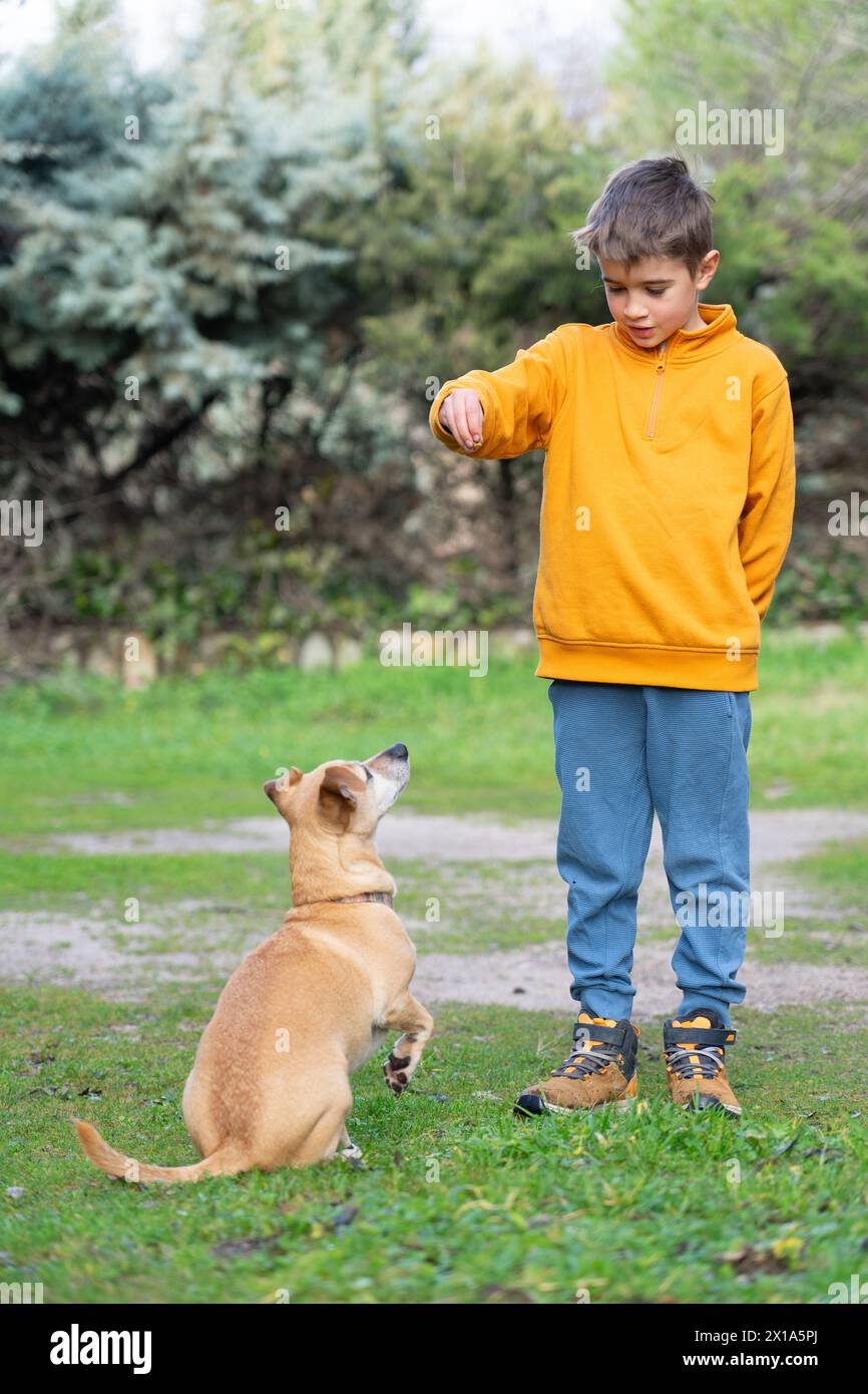 Positive reinforcement training hi-res stock photography and images - Alamy