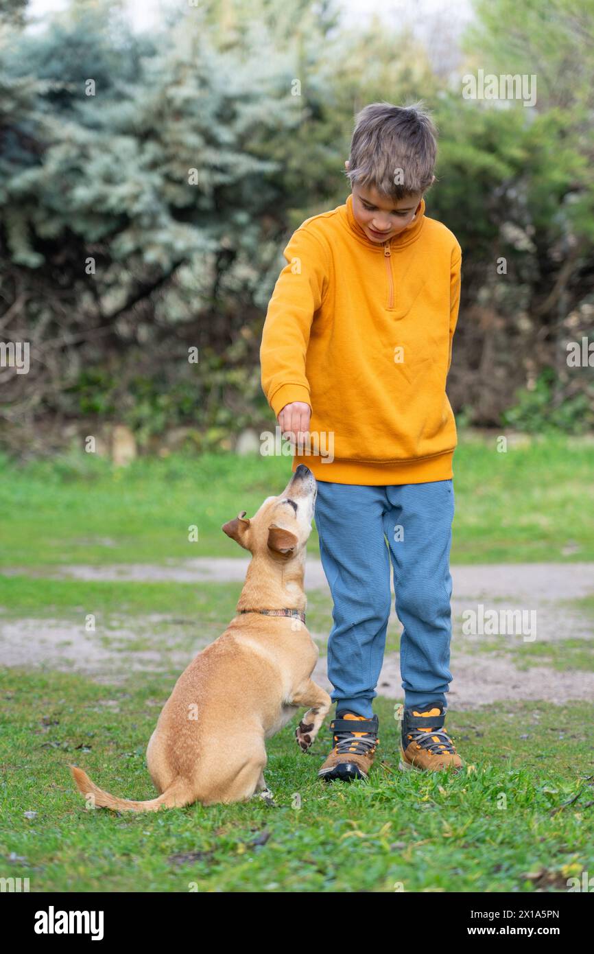 Boy giving a dog treat to his dog outdoors Stock Photo - Alamy