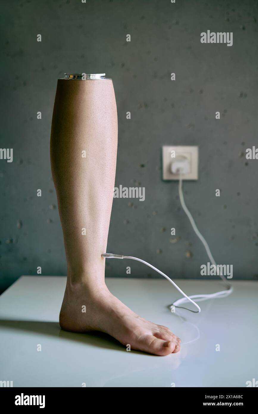 Removable humanoid robot leg on charging. Science and technology ...