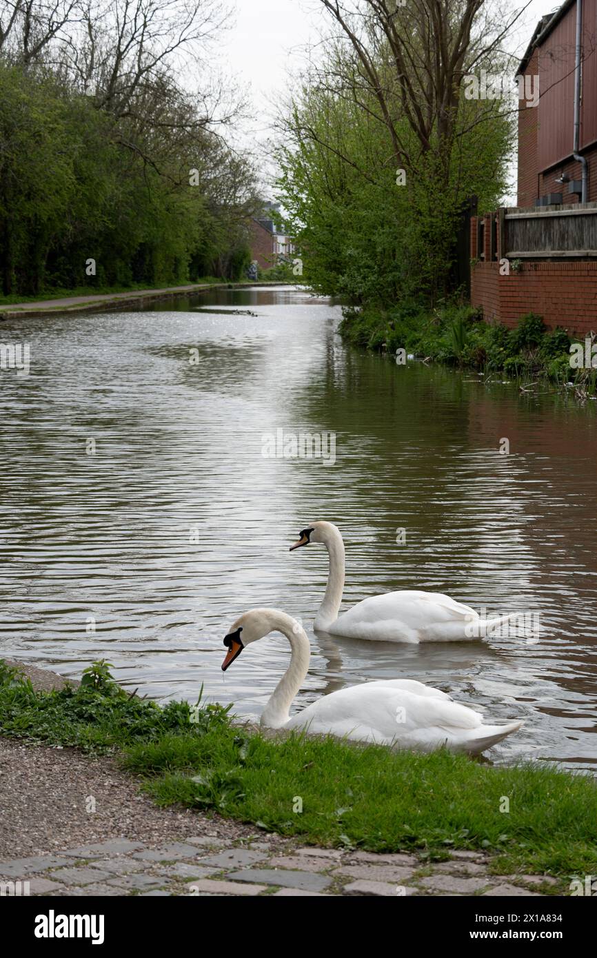 Longford coventry hi-res stock photography and images - Alamy