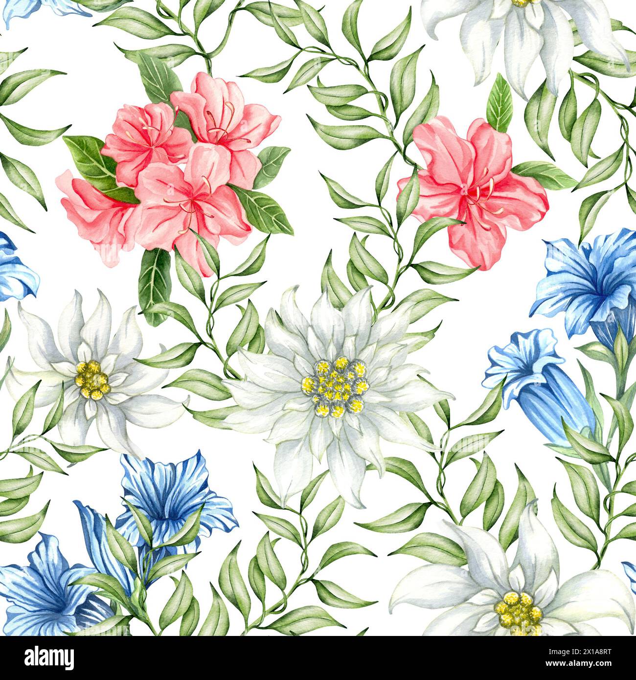Seamless pattern with alpine flowers. Edelweise, rhododendron, gentiana. Watercolor print for ...