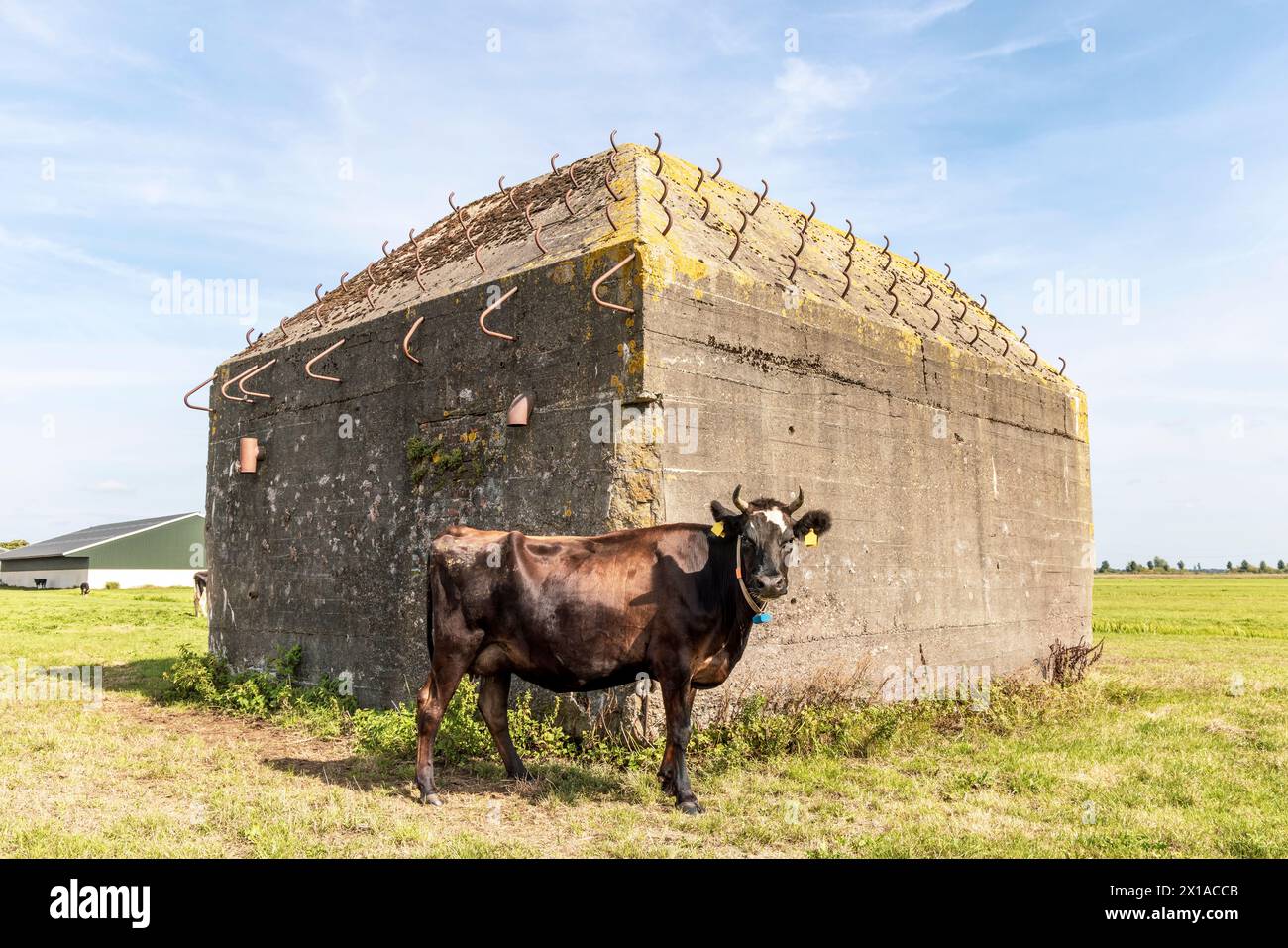 Ww2 fortification hi-res stock photography and images - Alamy