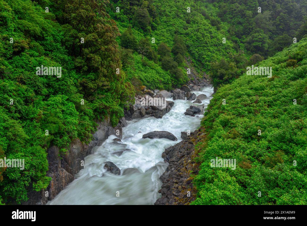 New Zealand alpine rivers in full flow. Taken at Haast Pass, linking ...