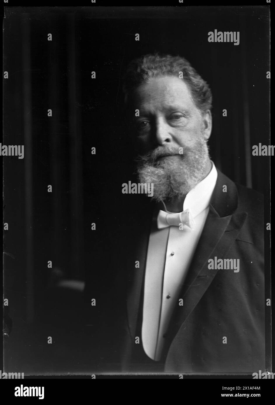 Picture Charles Lueger (1897-1910), half length Charles Lueger., 1906 ...