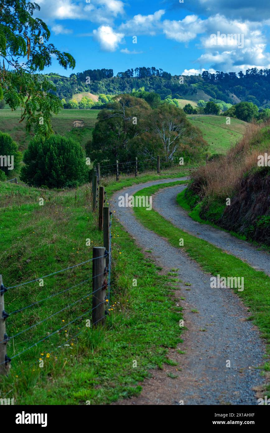 New zealand farm hi-res stock photography and images - Alamy