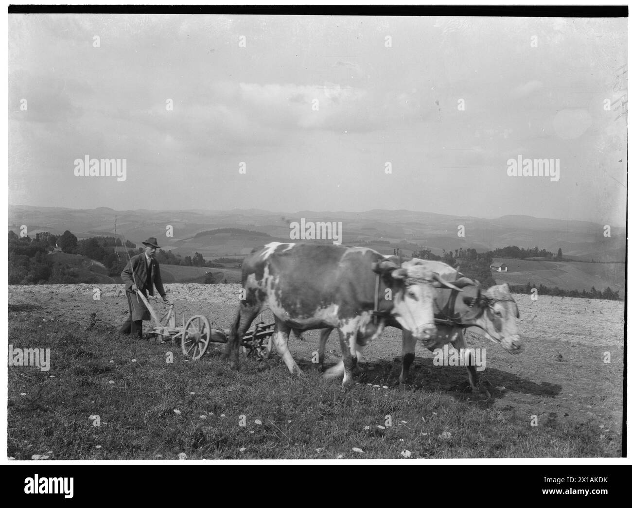 Farmers 1920 Cut Out Stock Images & Pictures - Alamy