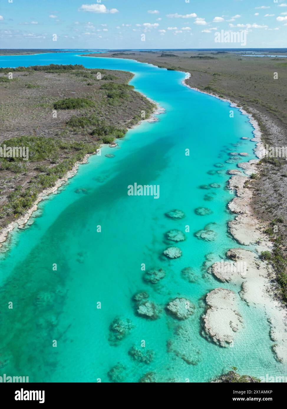Amazing turquoise color of water in the Lagoon of Seven Colors Bacalar ...