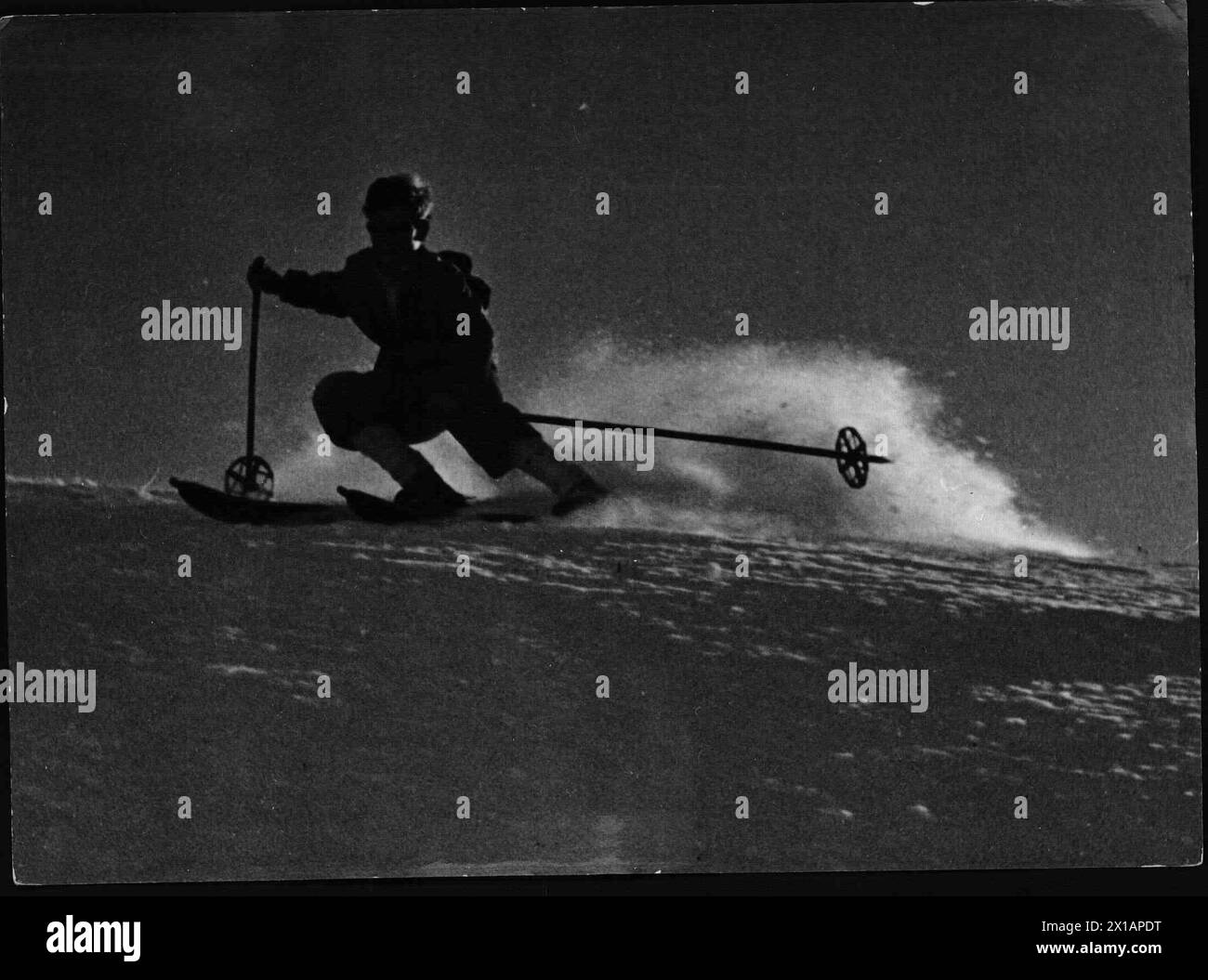 Stem christie hi-res stock photography and images - Alamy