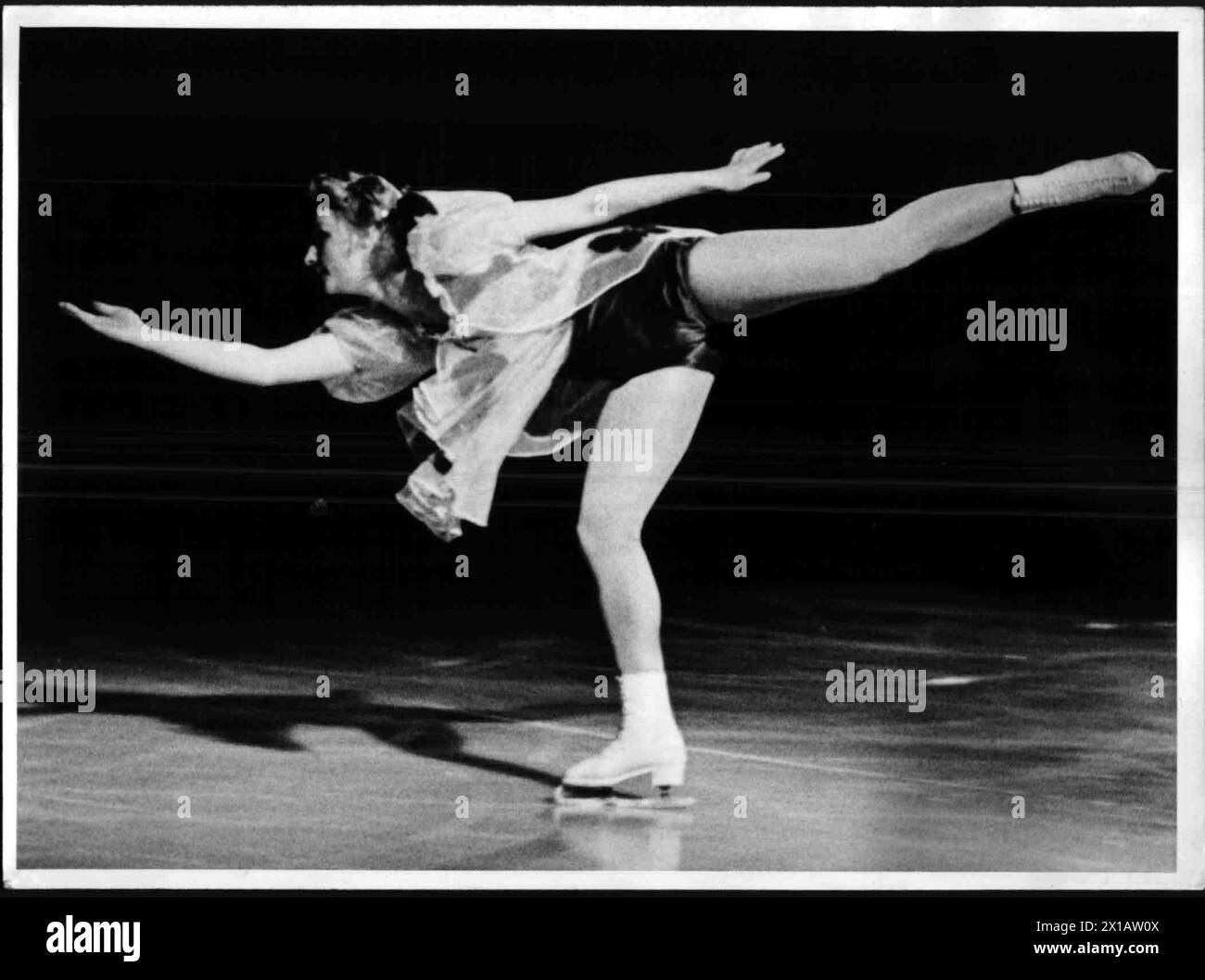 The Charles Schaefer exhibition, Trude Schweikhart during butterfly ...