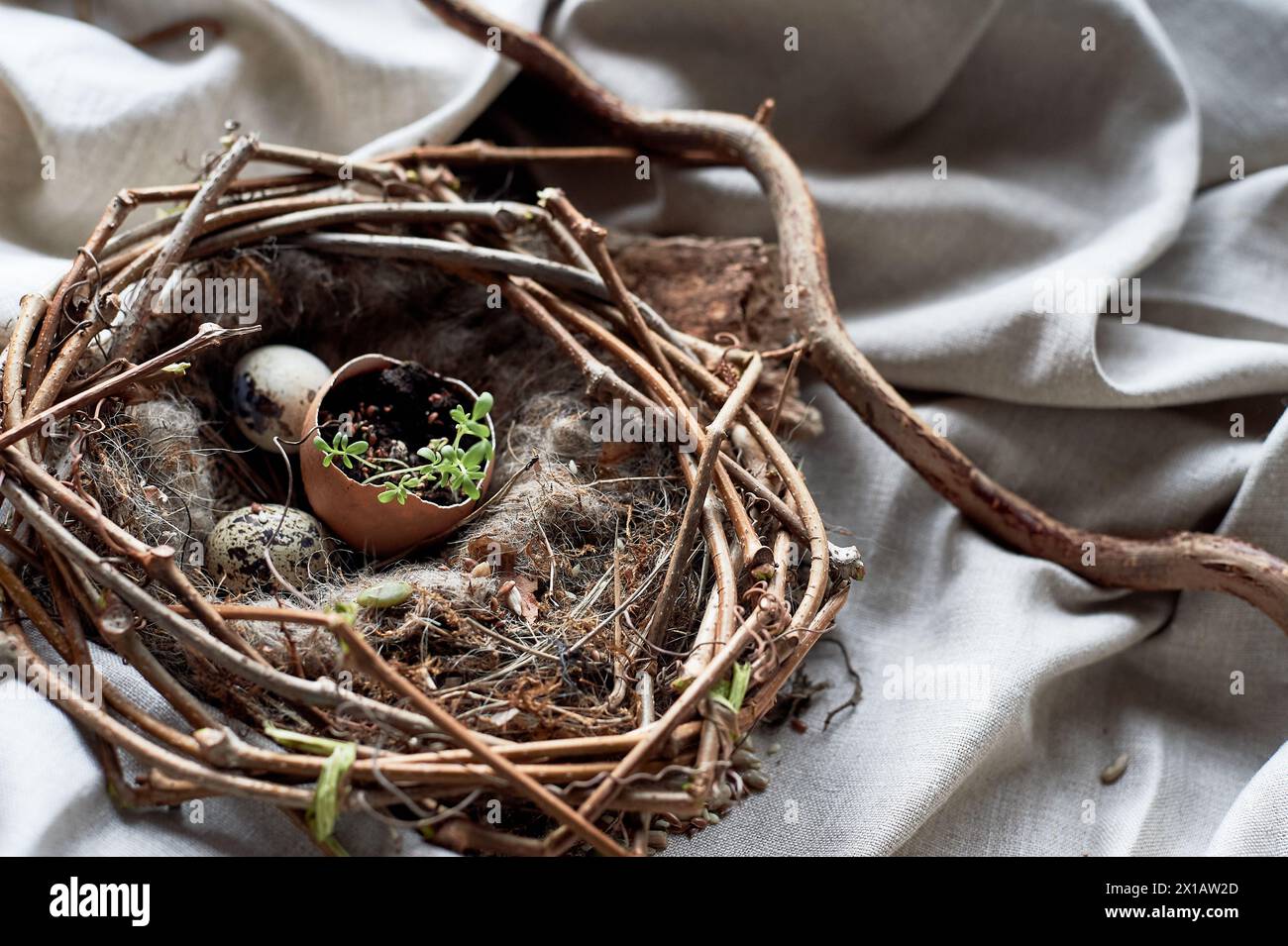 A bird nest made of twigs, grass, and natural materials, with a broken ...