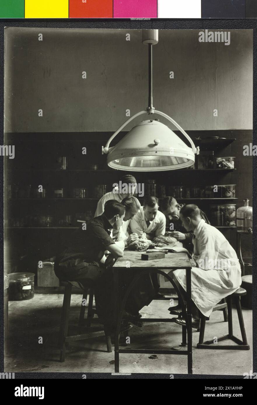 Dissecting education, dissecting education in the anatomicals college ...