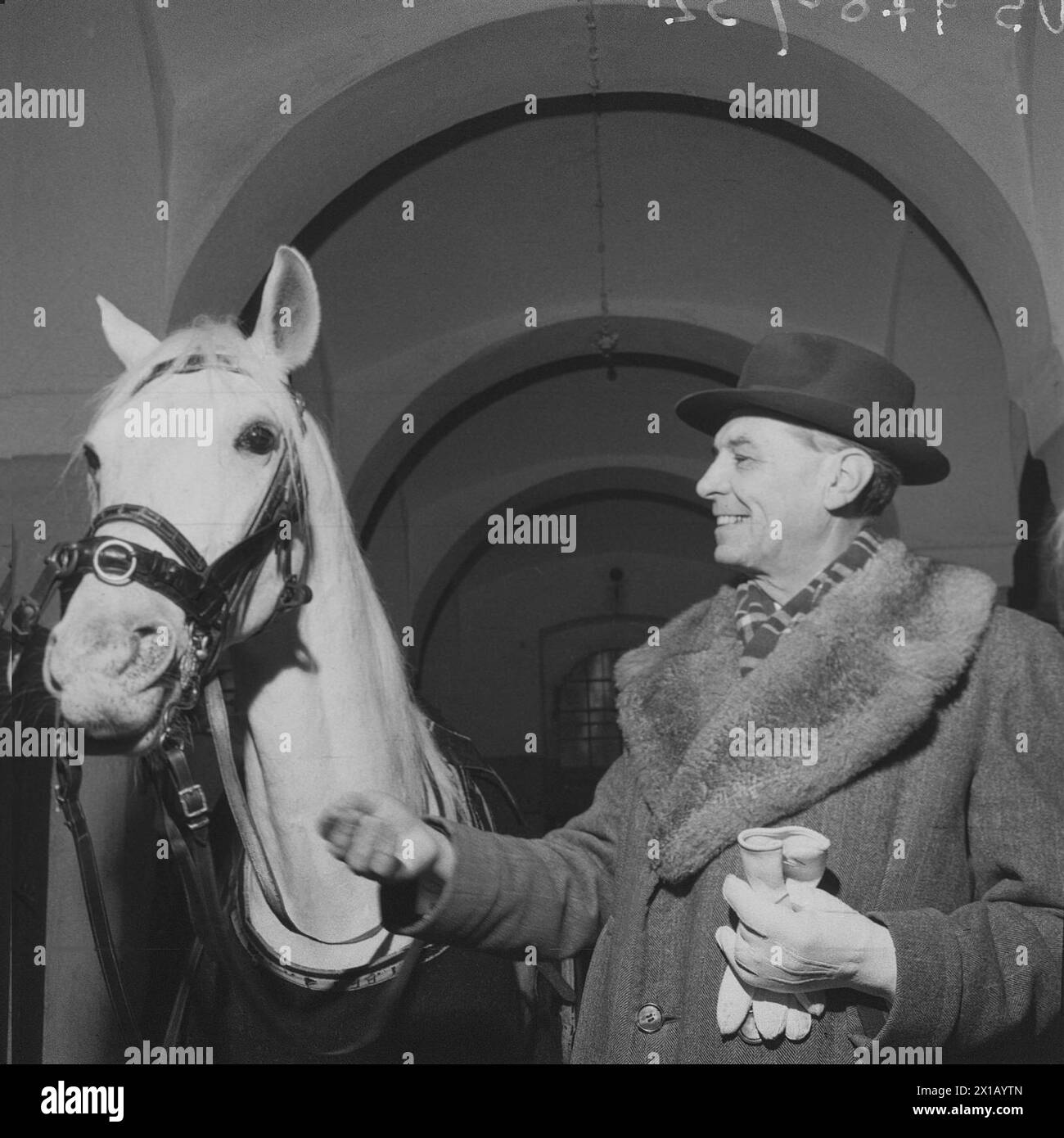 Catfish o, Viennese Spanish riding school giving of a guest performance ...
