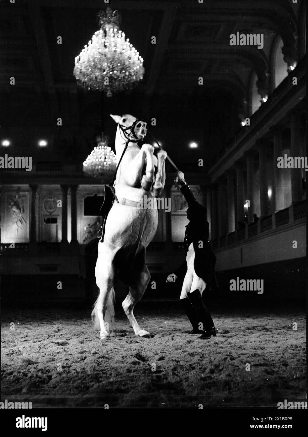 Demonstration of the Lipizzan in the "Spanischen Hofreitschule ...