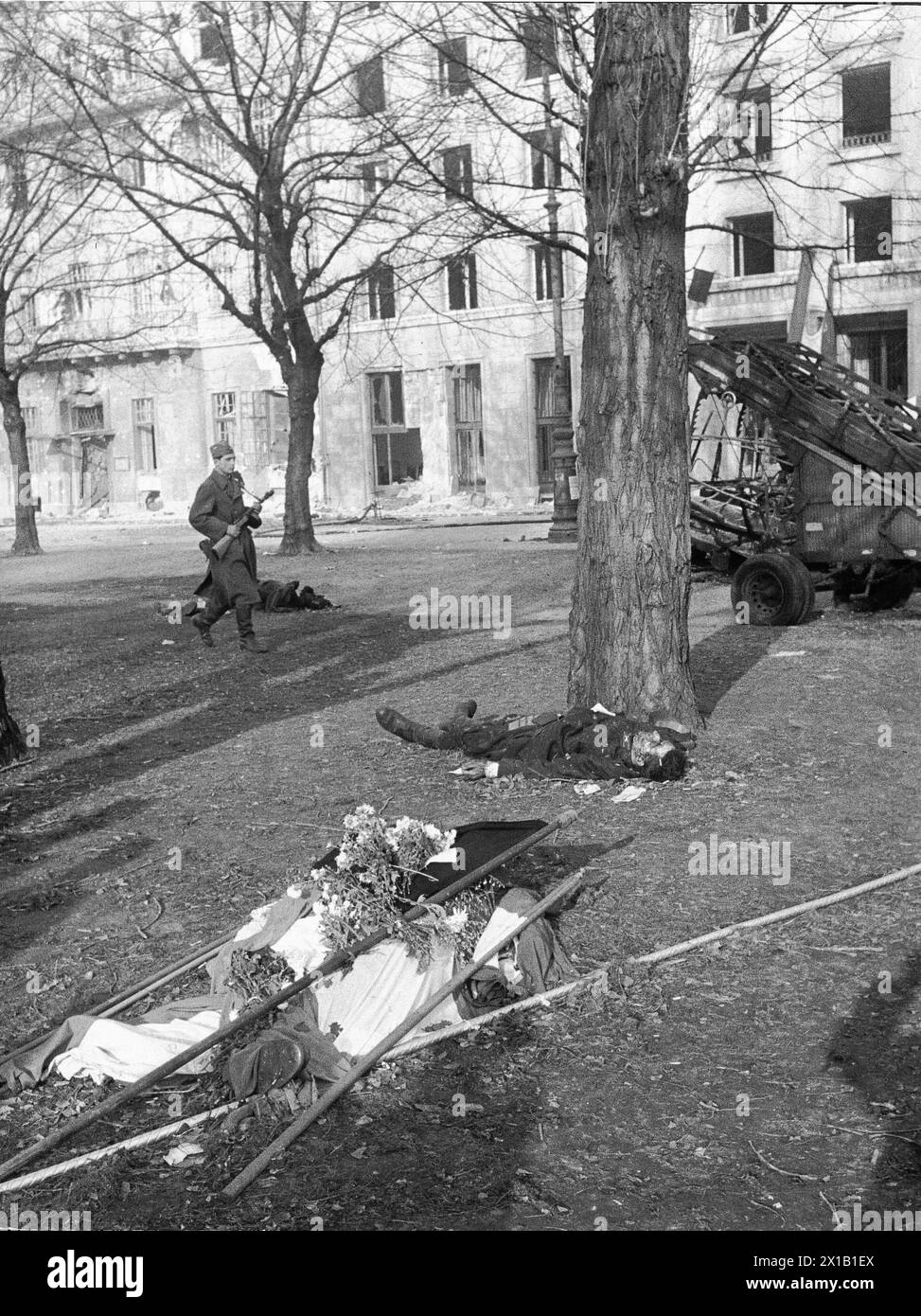Hungary 1956, fatality freedom fighter and policemen of the secret ...