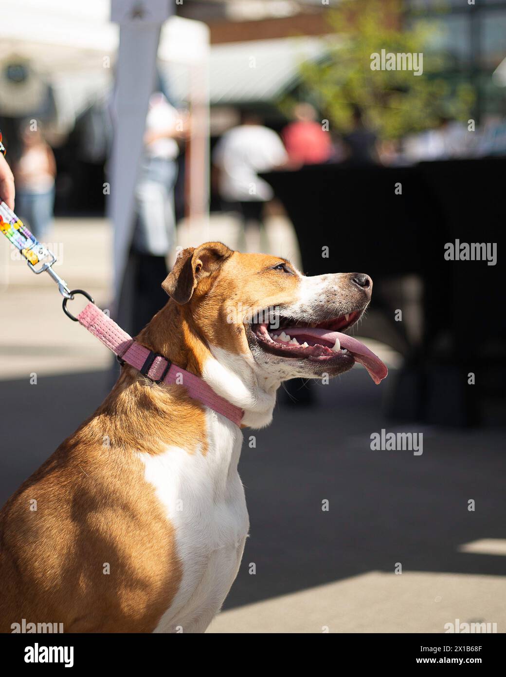 Kansas City's Historical River Market Stock Photo - Alamy