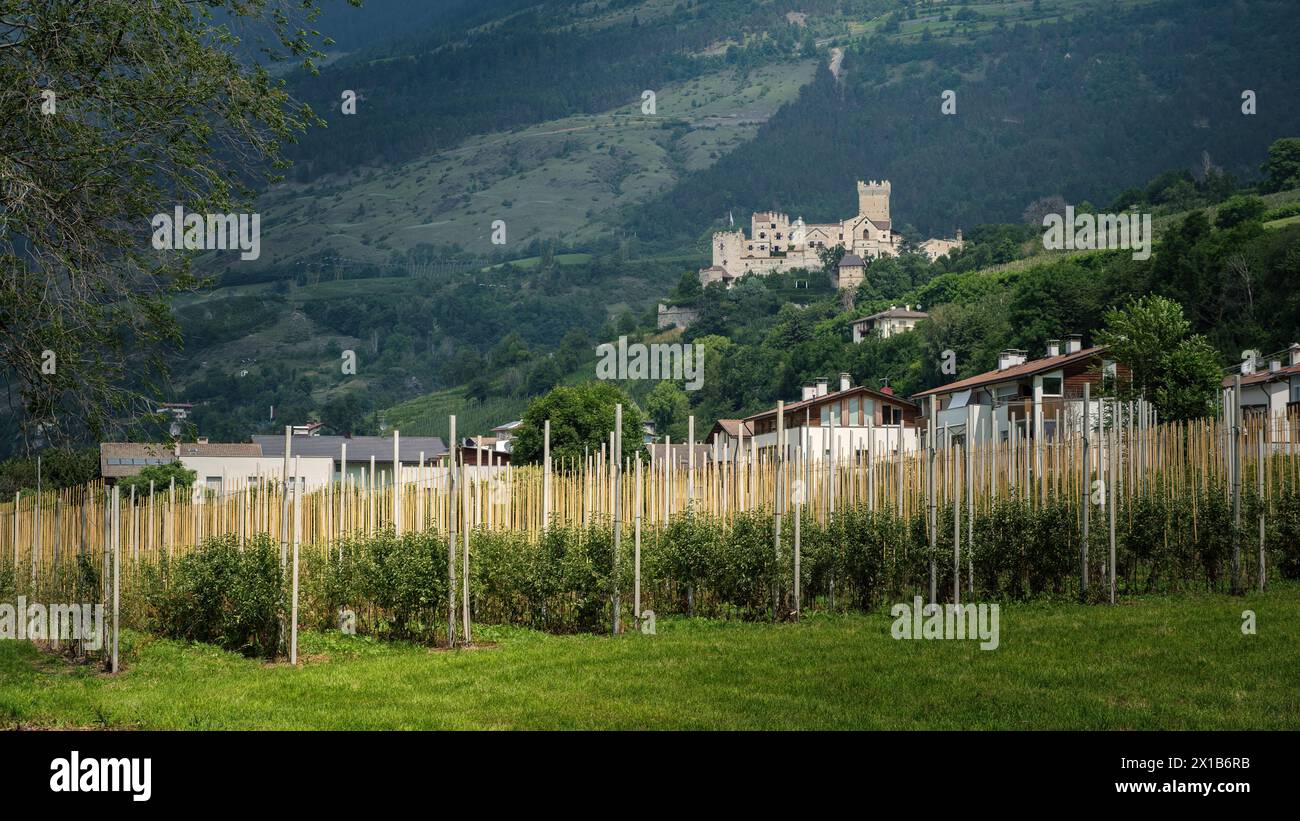 The ancient castle in the Alps in the South Tyrol region Stock Photo ...