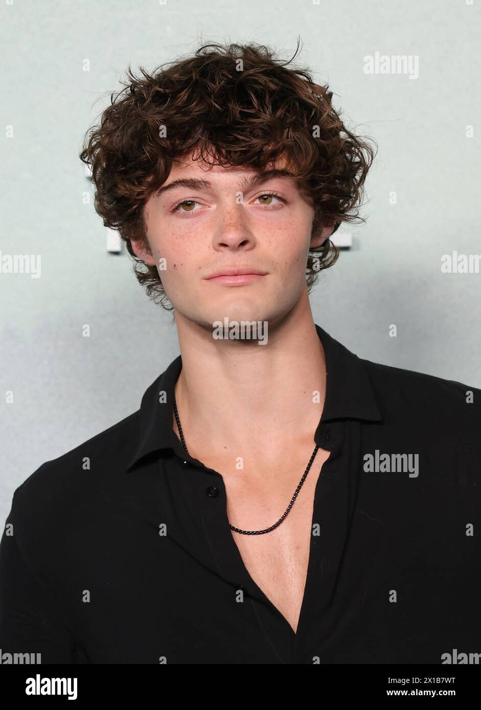 Los Angeles, Ca. 15th Apr, 2024. Tyler Lawrence Gray at the LA premiere ...