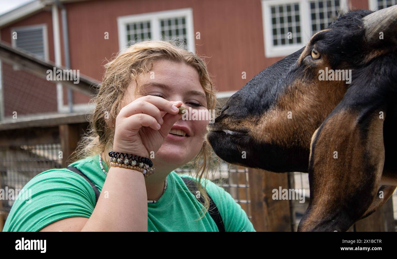 Exploring the wonders of the animal kingdom at the zoo Stock Photo - Alamy