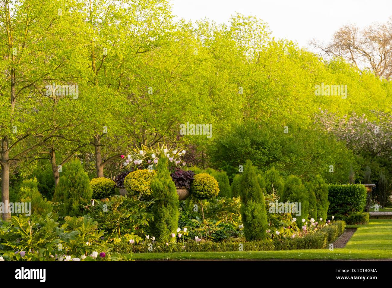 Formal planting in Avenue Gardens in Regent's Park, London Stock Photo ...