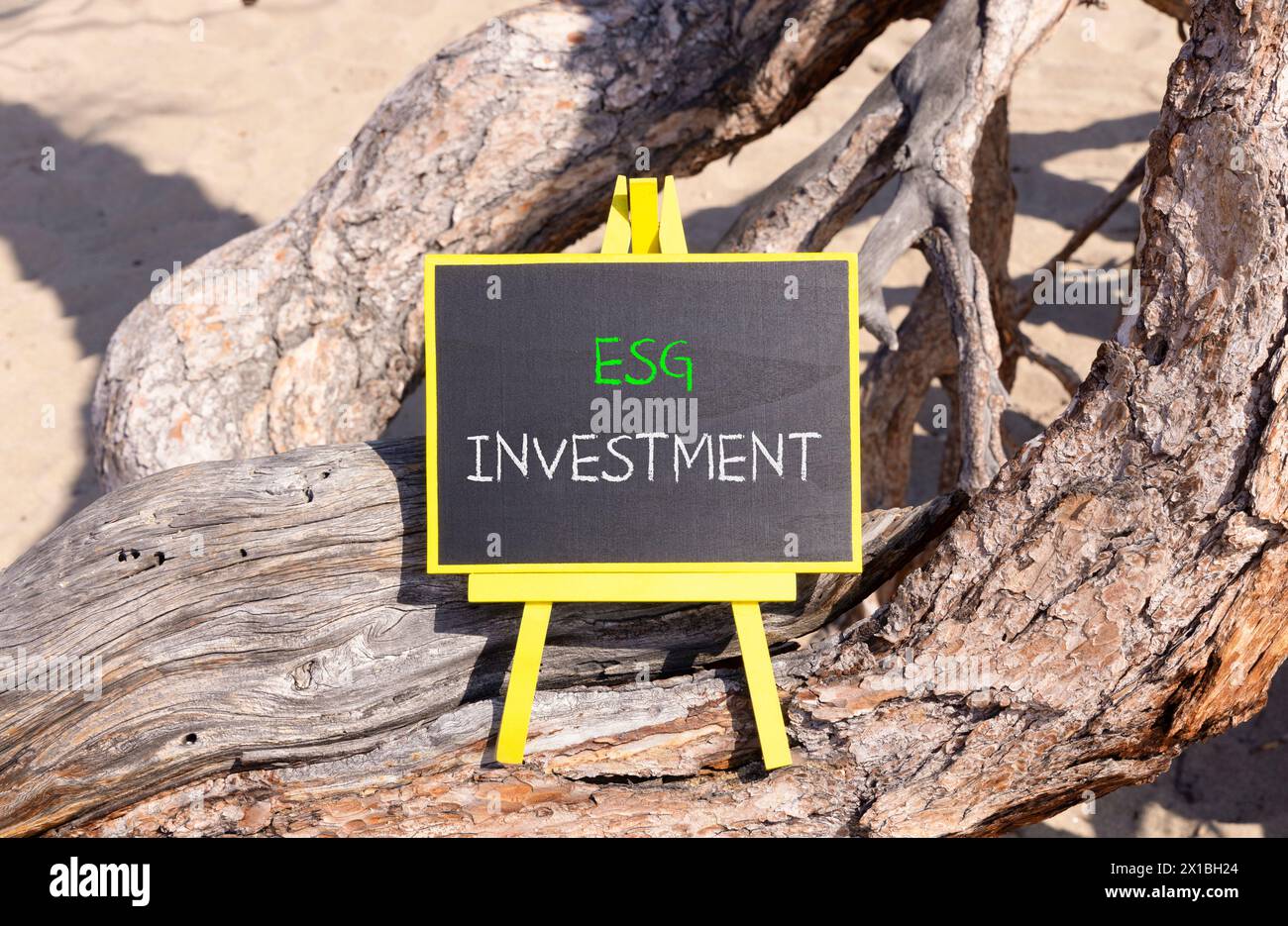 ESG environmental social governance investment symbol. Concept words ...