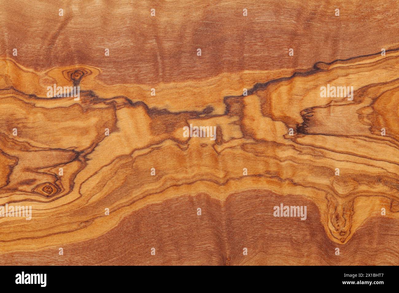 Close-up shot showcasing rich detailed grain patterns of olive tree ...