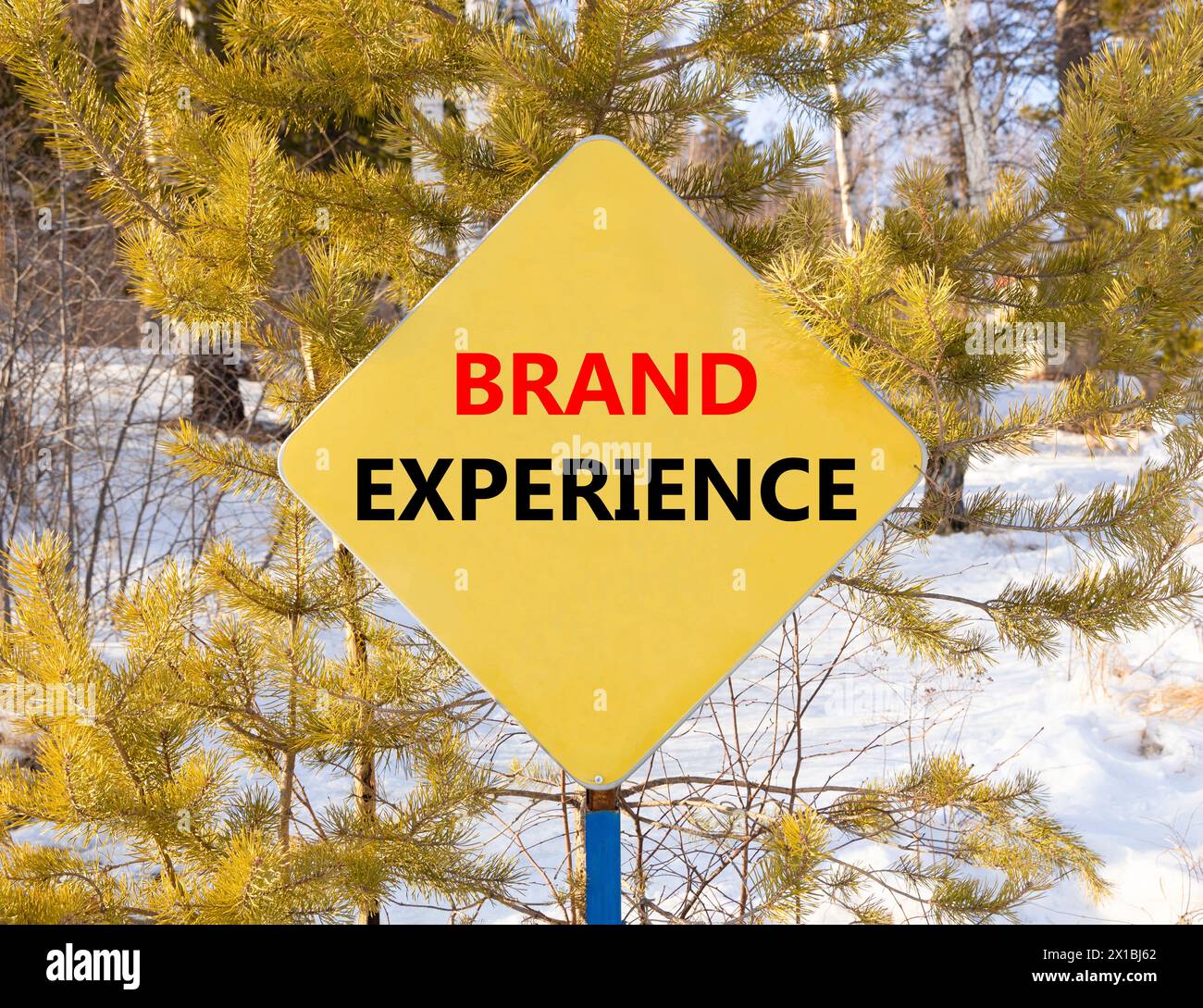 Brand experience symbol. Concept words Brand experience on beautiful ...
