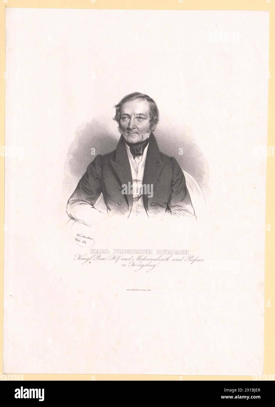 Comparative anatomist hi-res stock photography and images - Alamy