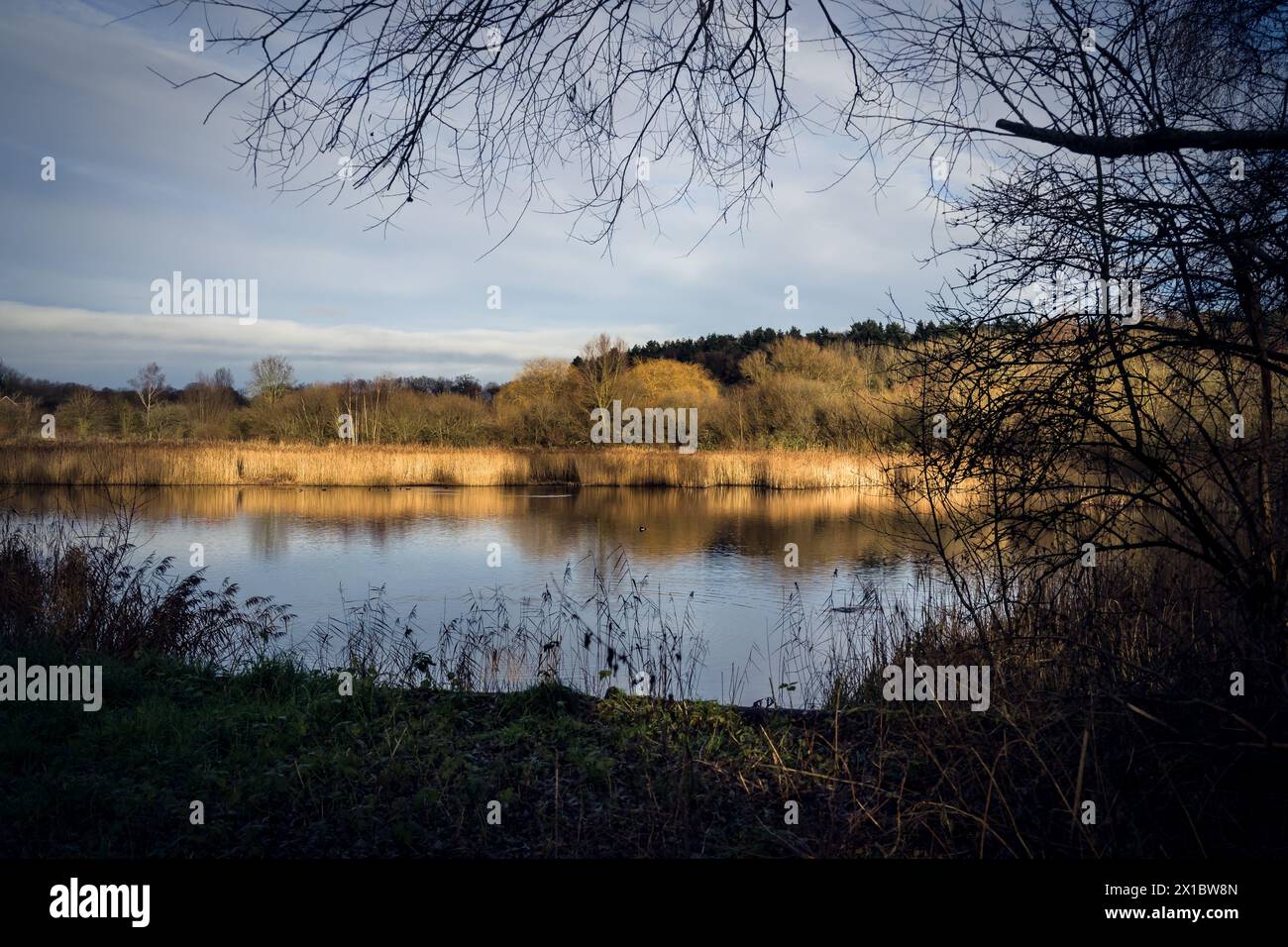 Afternoon light over Tumbling Bay Lake part of the network of former ...
