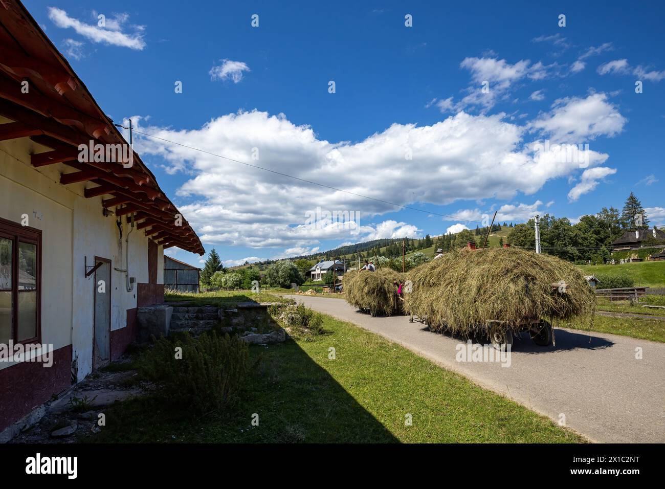 Hay harvest with a horse drawn cart in romania Stock Photo - Alamy