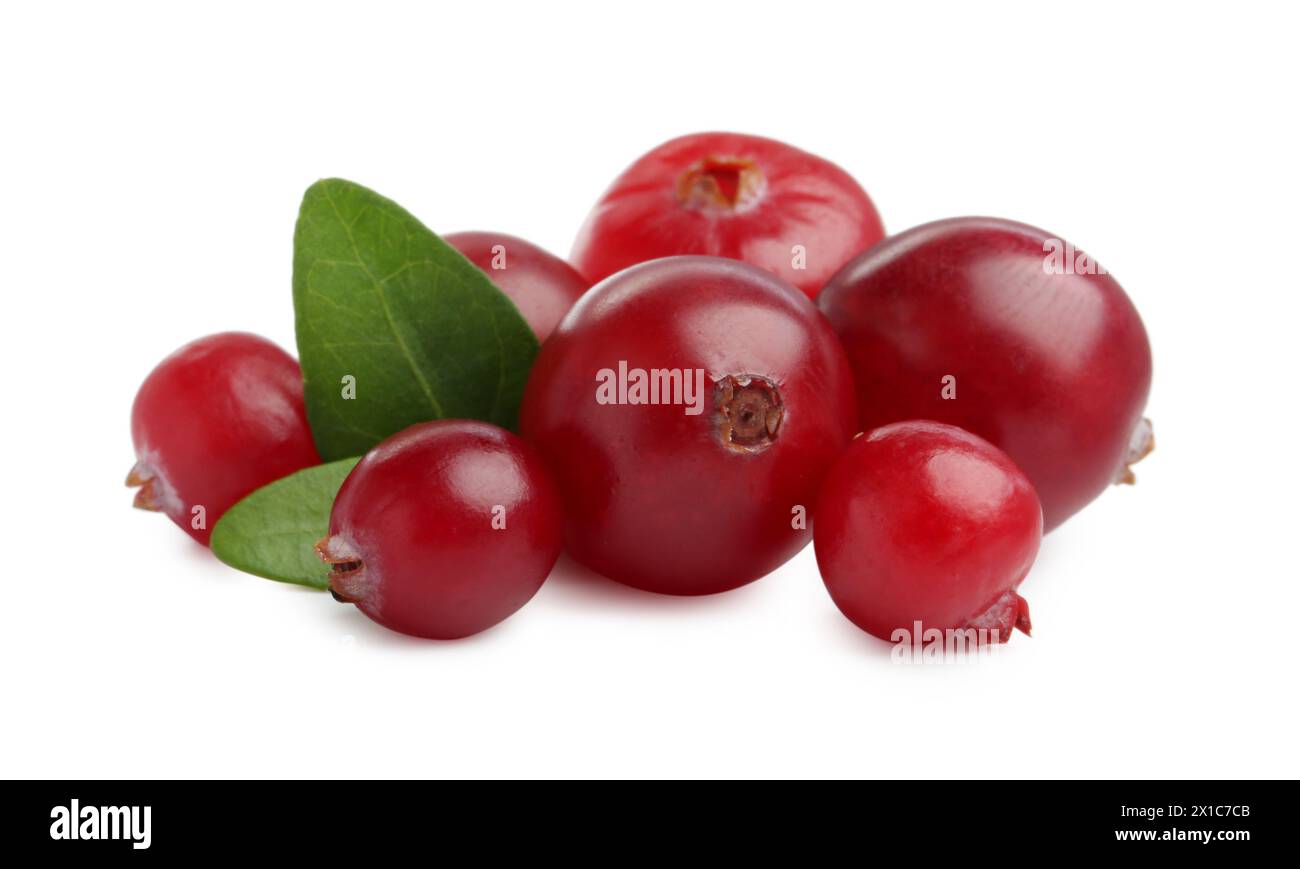 Fresh ripe cranberries with leaves isolated on white Stock Photo - Alamy