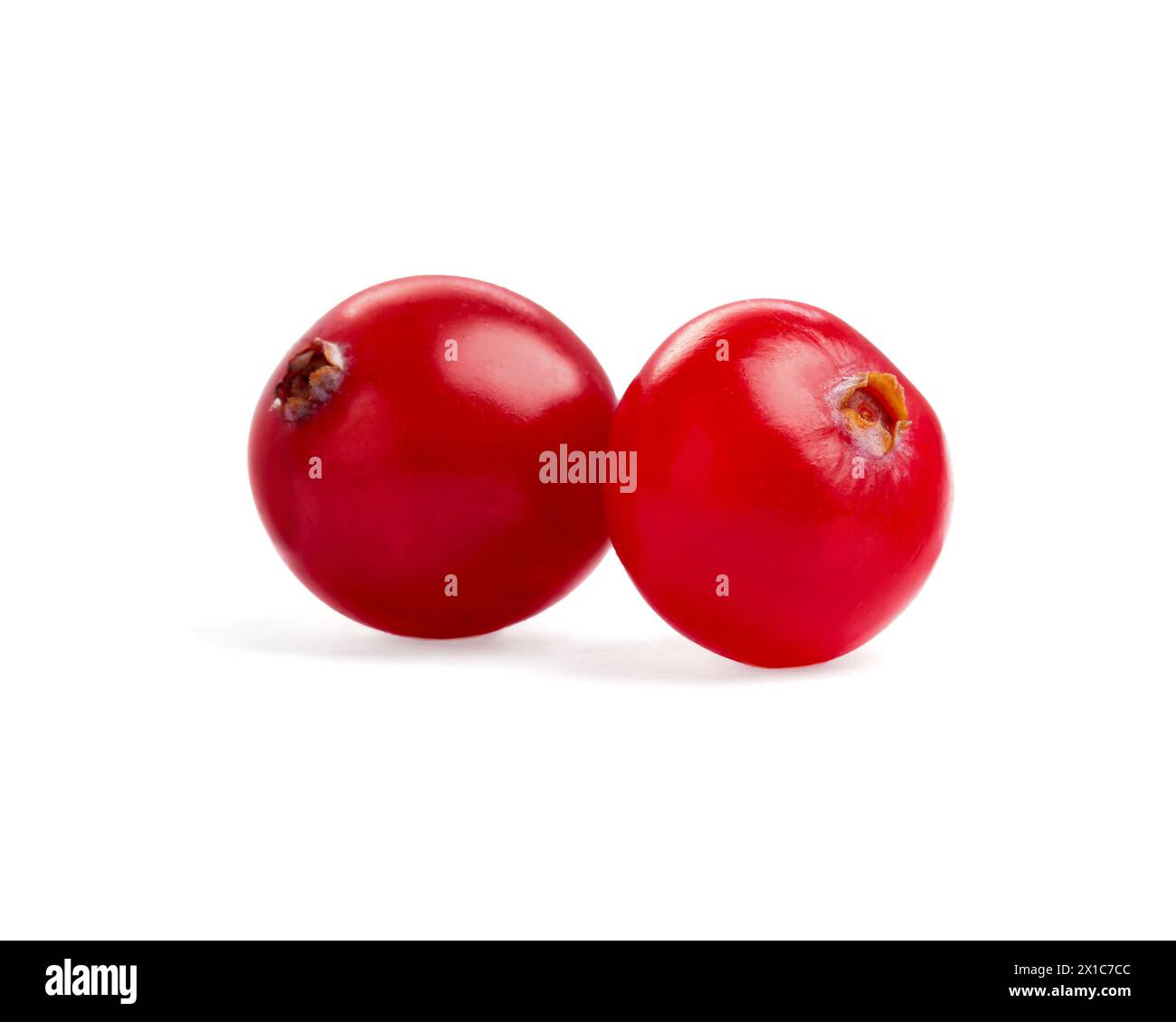 Two fresh ripe cranberries isolated on white Stock Photo - Alamy