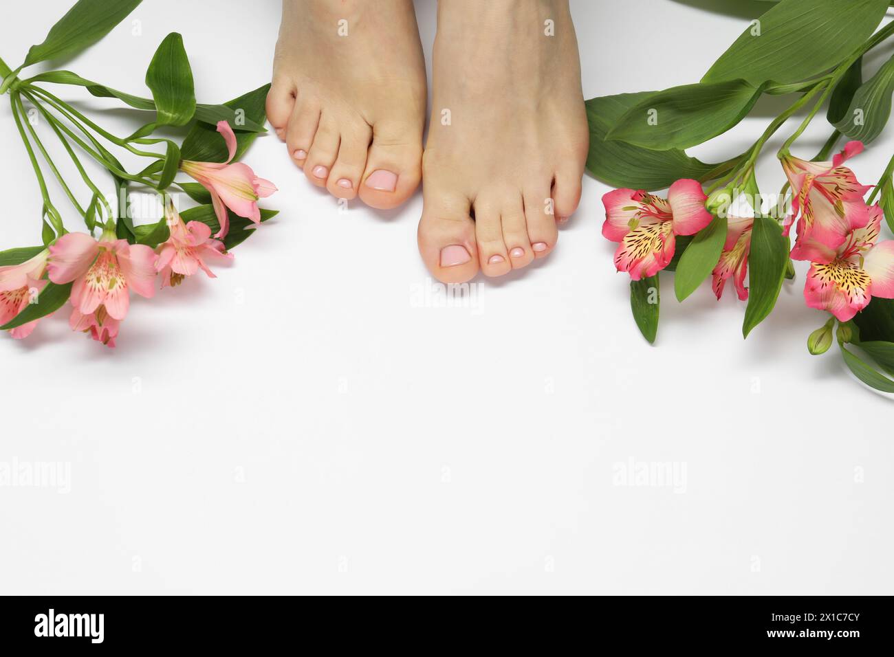 Closeup of woman with neat toenails after pedicure procedure on white ...
