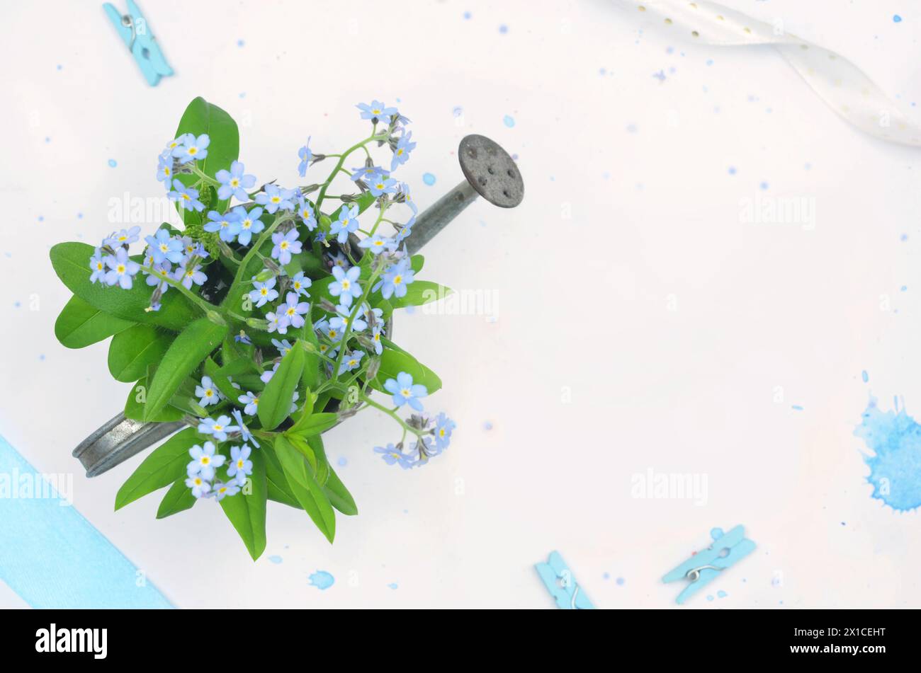 Blue flowers (forget-me-nots) with blank space to fill in with content ...