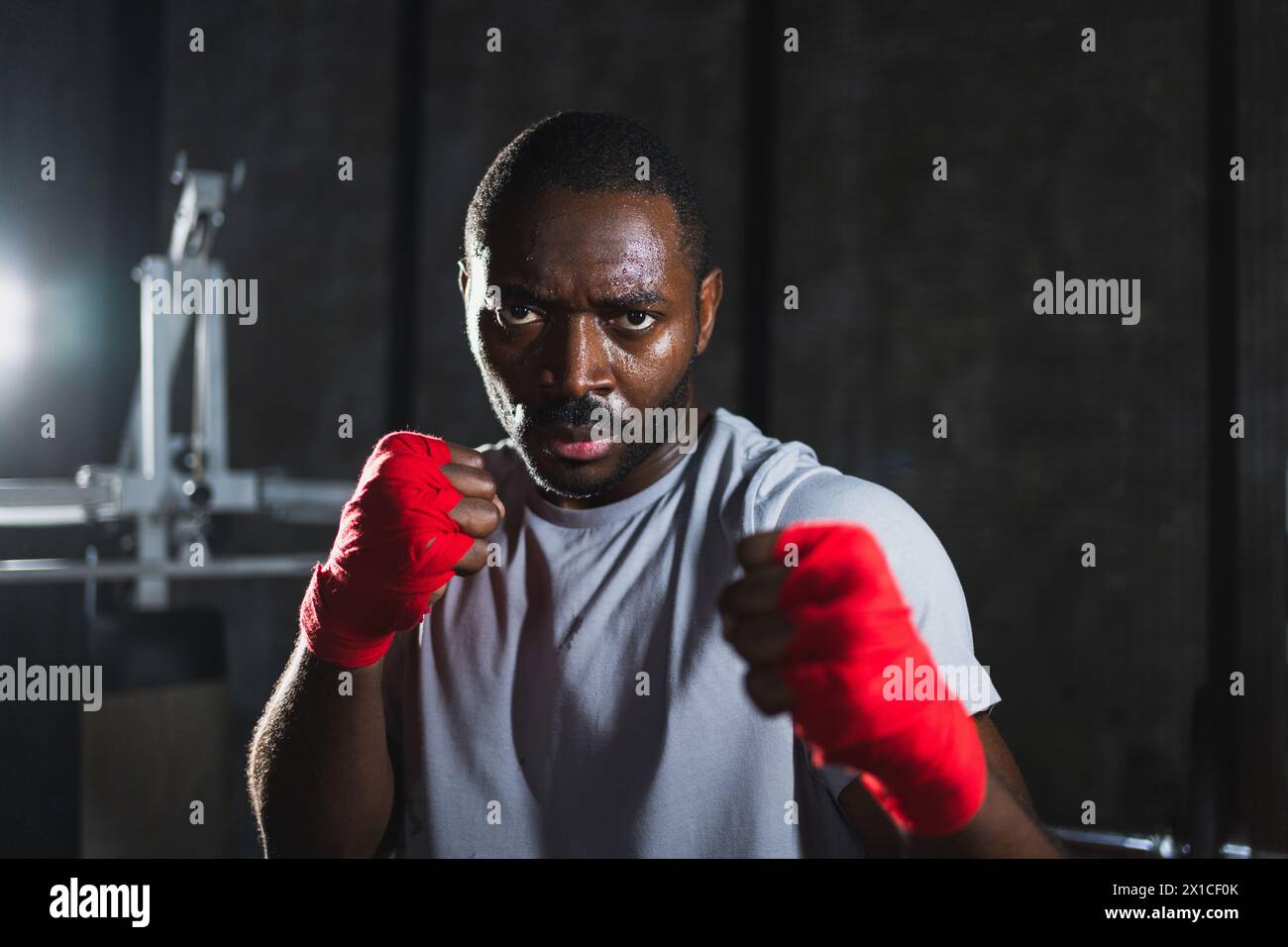 Boxer aggressive look boxing hi-res stock photography and images - Alamy