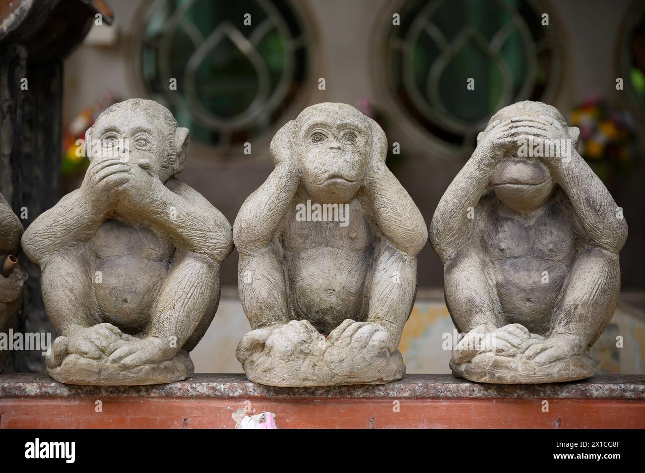 Zuhalten hi-res stock photography and images - Alamy