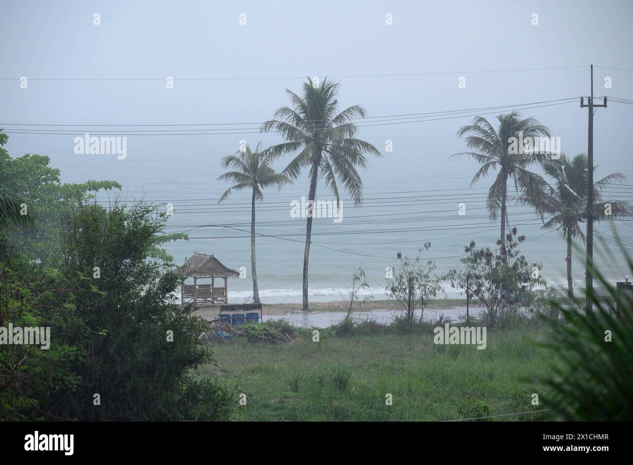 Palmen im Regen in Ban Krut Baan Krood - Thailand, Februar 2024 ...