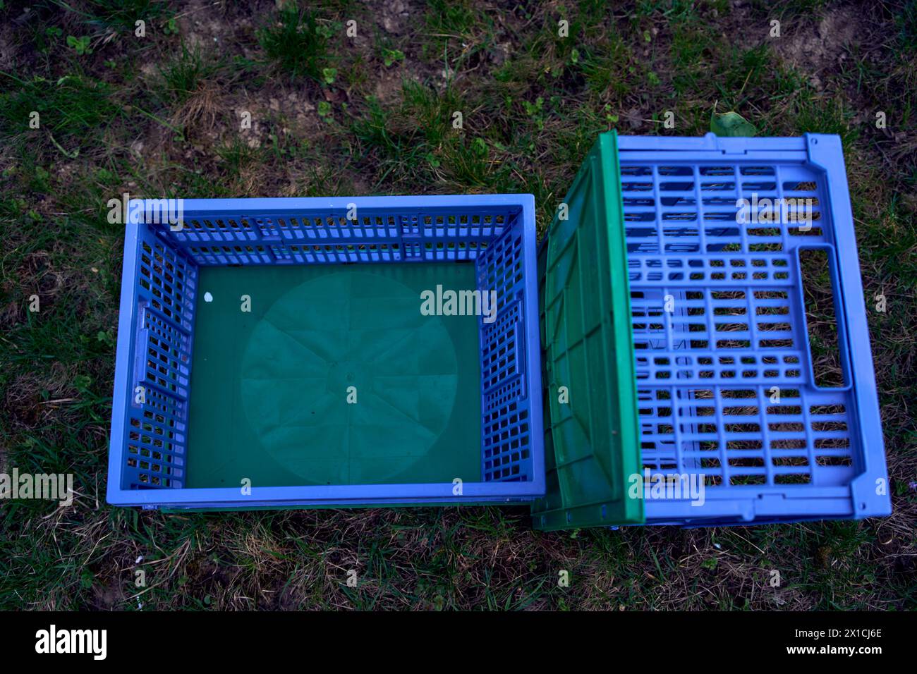 a plastic boxes for vegetables lie on the grass Stock Photo - Alamy