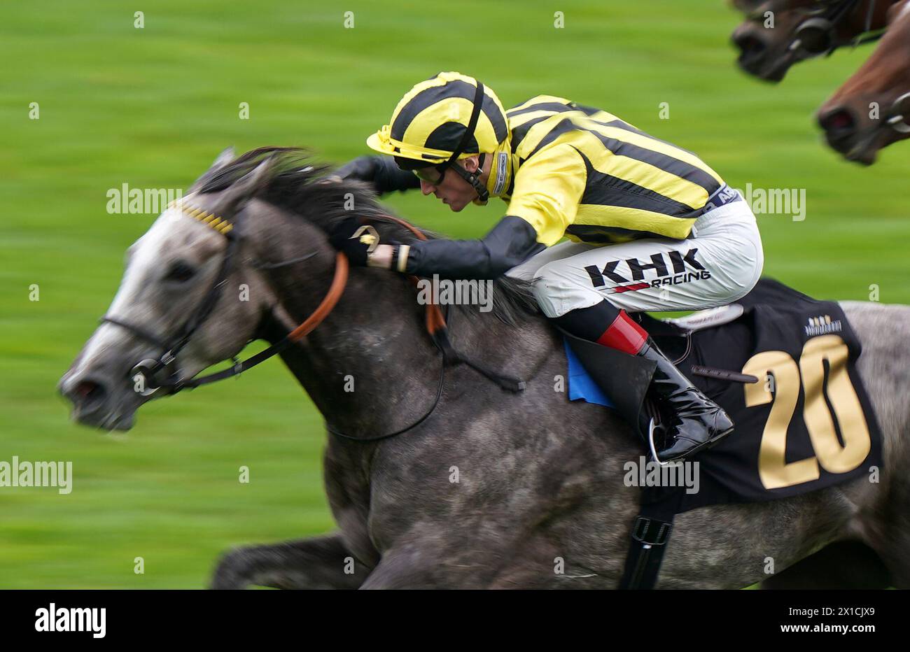 File photo dated 30-09-2023 of True Cyan ridden by David Egan. Roger ...