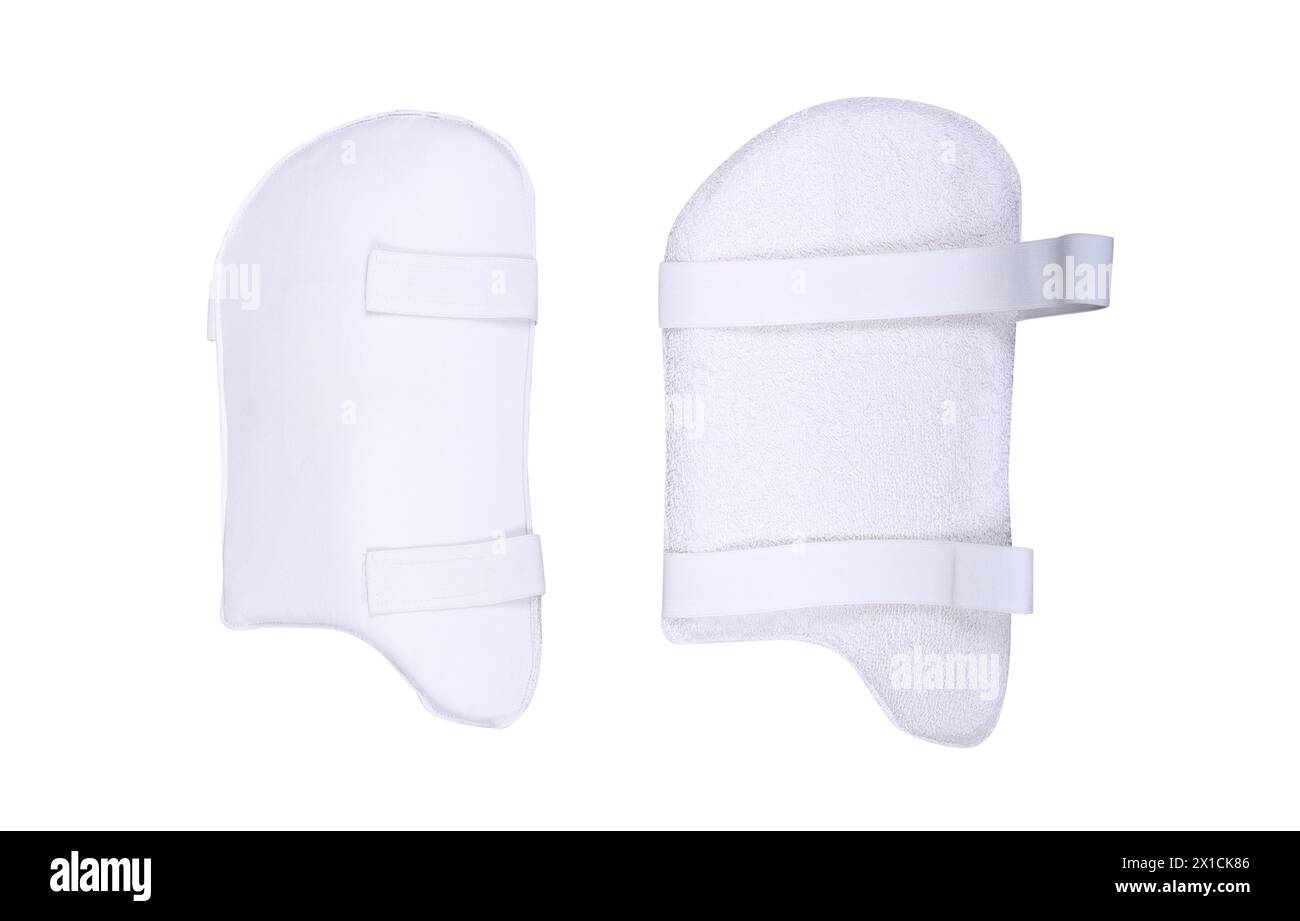 cricket thigh pad front back angle isolated on white background Stock ...