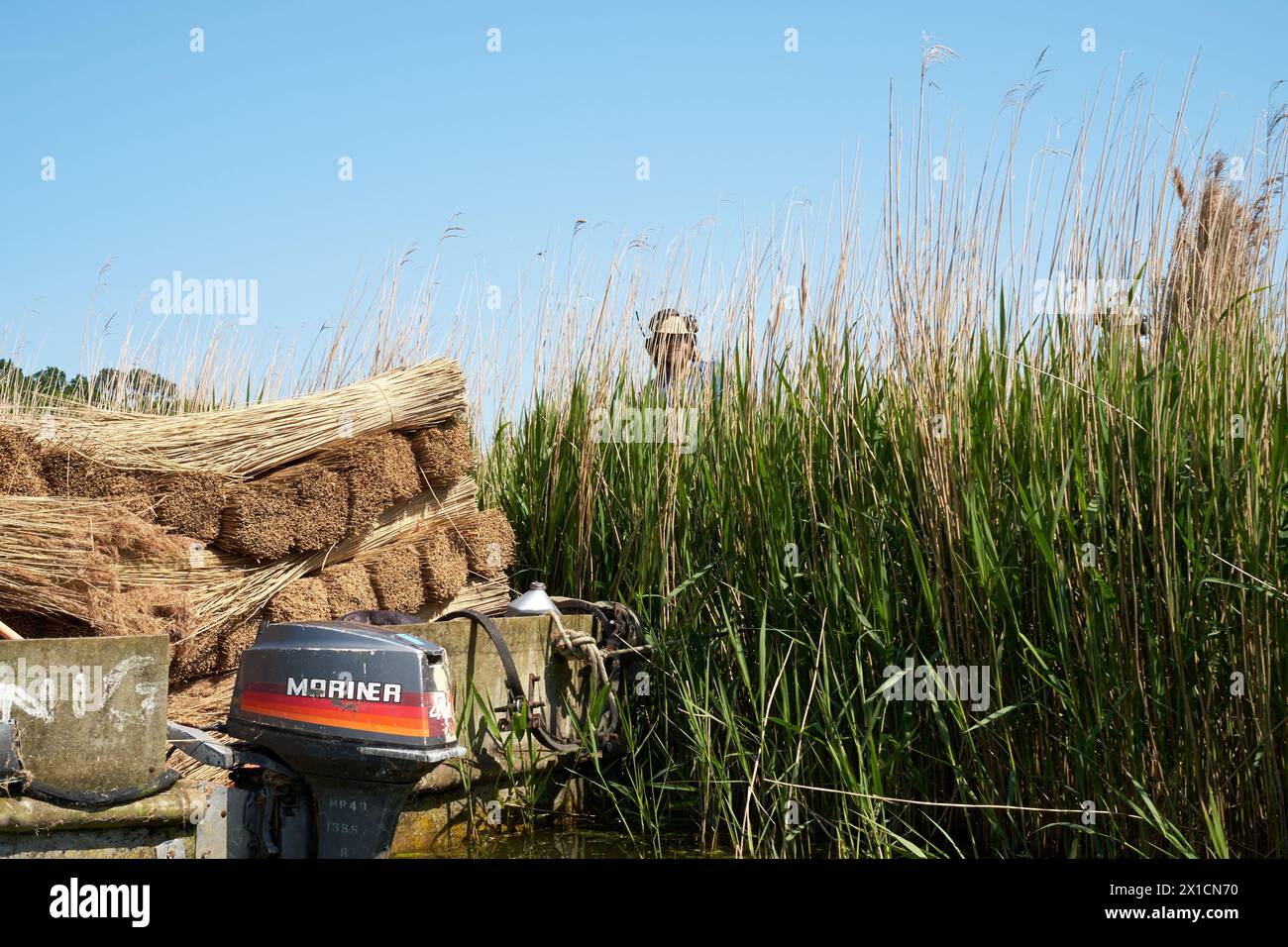 Environmental management hi-res stock photography and images - Alamy