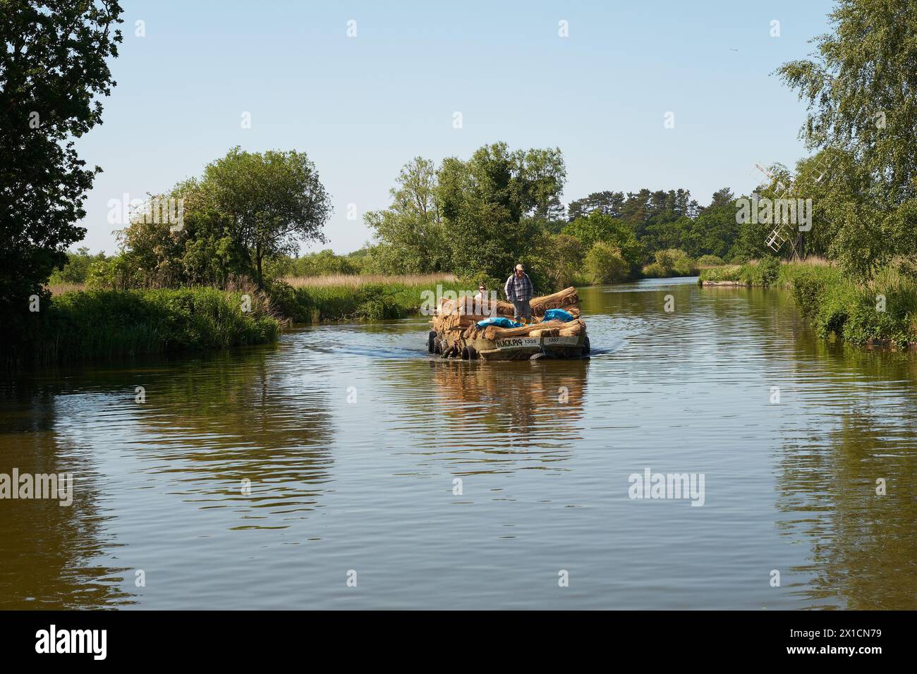 Reedcutters transporting reed bundles in a traditional Norfolk Broads ...